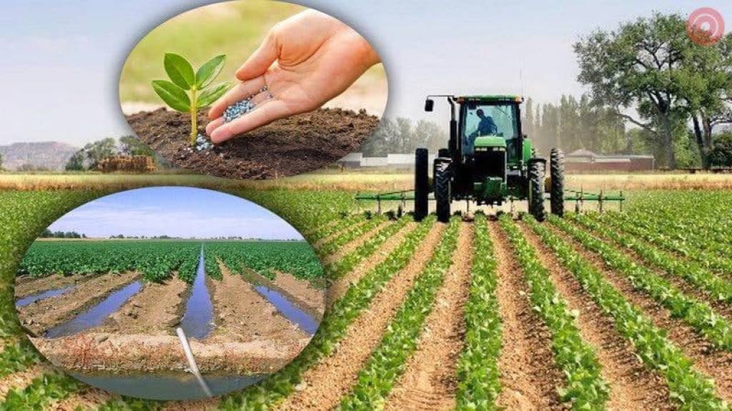 Qishloq xo‘jaligiga oid islohotlar amalda