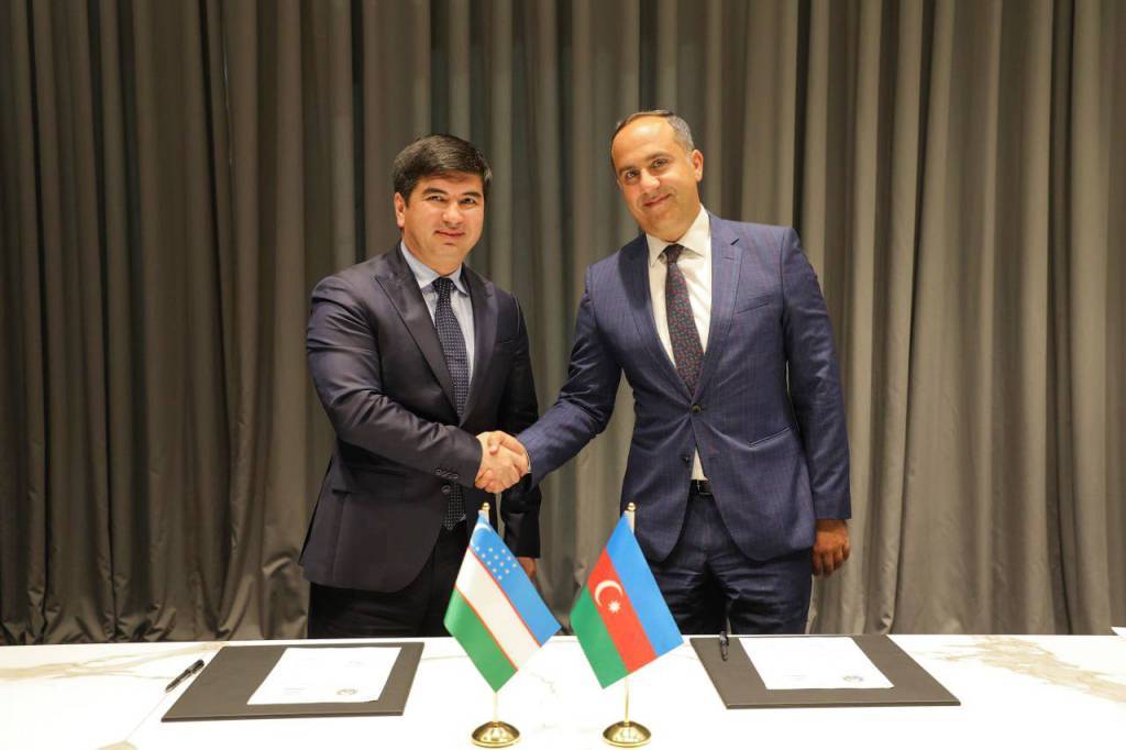 A large-scale project for the cultivation and processing of hazelnuts ...