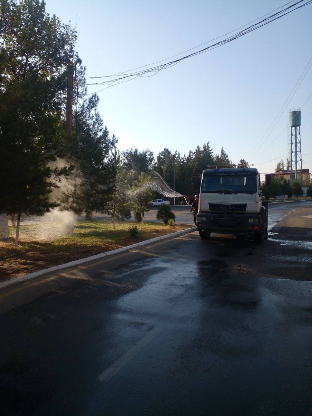 Ikki haftada 100 mingdan ortiq daraxt changdan tozalanadi